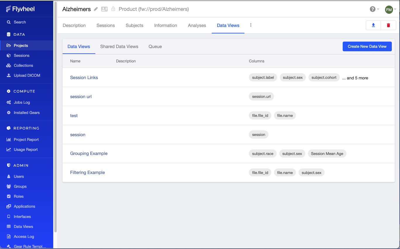 Data Views - Flywheel Documentation